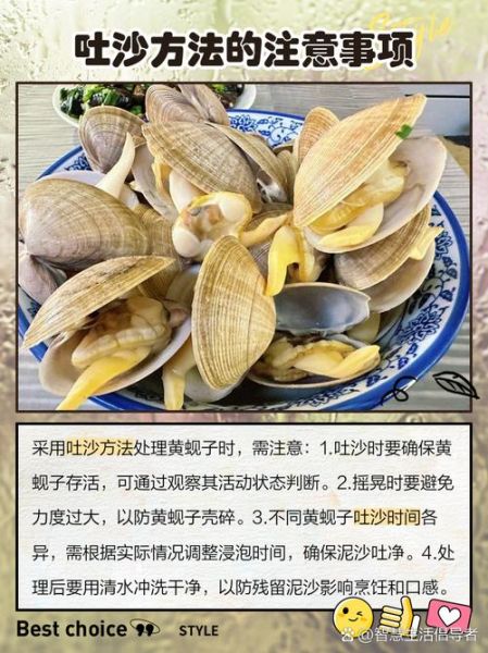 黄蚬子怎么吐沙子最快_黄蚬子吐沙子最快的方法-第2张图片-山城妙识