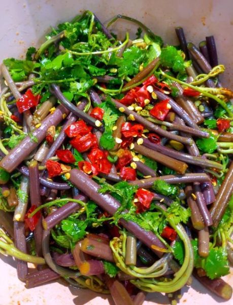 野菜怎么做好吃_野菜有哪些家常做法-第1张图片-山城妙识