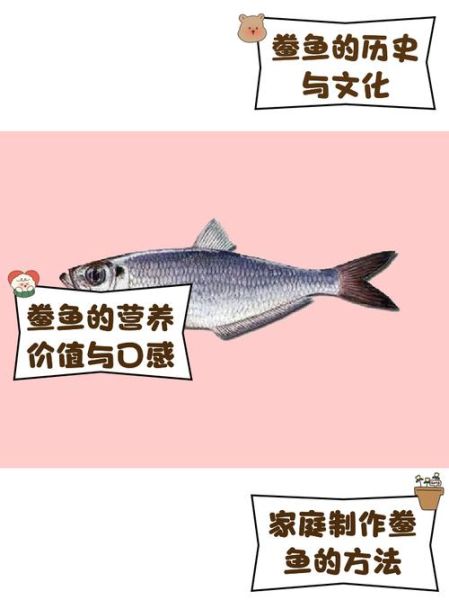 鳓怎么读_鳓鱼是什么鱼-第2张图片-山城妙识 鳓怎么读_鳓鱼是什么鱼-第2张图片-山城妙识