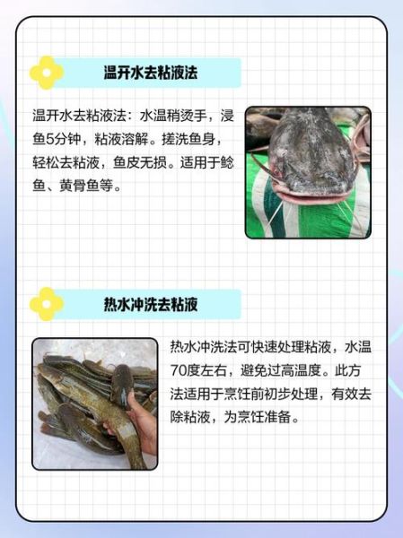 鲶鱼怎么去除粘液_鲶鱼去粘液用什么方法-第1张图片-山城妙识 鲶鱼怎么去除粘液_鲶鱼去粘液用什么方法-第1张图片-山城妙识