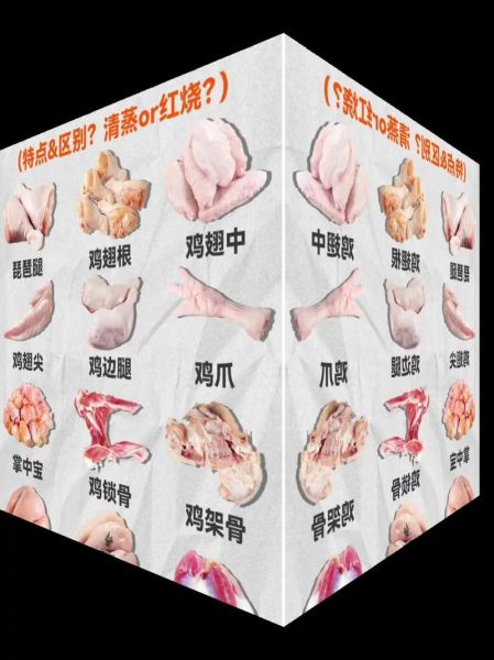 鸡胃和鸡胗一样吗_鸡胗是鸡的哪个部位-第1张图片-山城妙识 鸡胃和鸡胗一样吗_鸡胗是鸡的哪个部位-第1张图片-山城妙识