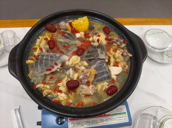 甲鱼汤怎么炖最有营养_甲鱼汤的功效与禁忌-第2张图片-山城妙识