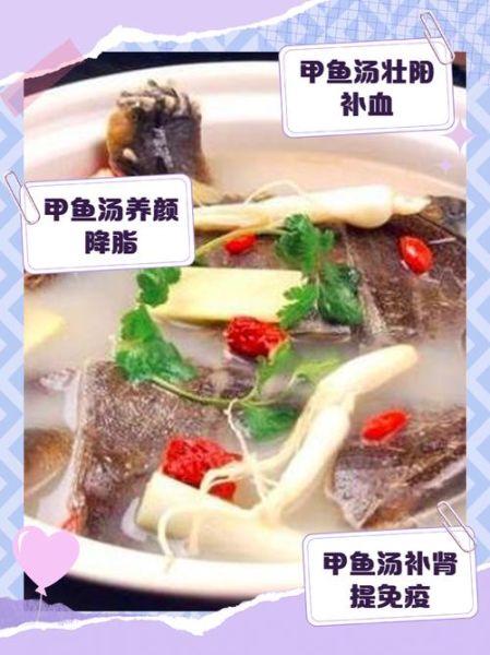 甲鱼汤怎么炖最有营养_甲鱼汤的功效与禁忌-第3张图片-山城妙识