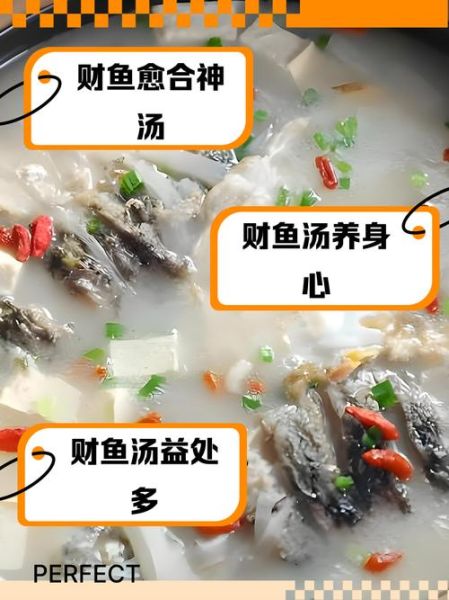 财鱼汤怎么做_财鱼汤对伤口愈合真的有用吗-第1张图片-山城妙识
