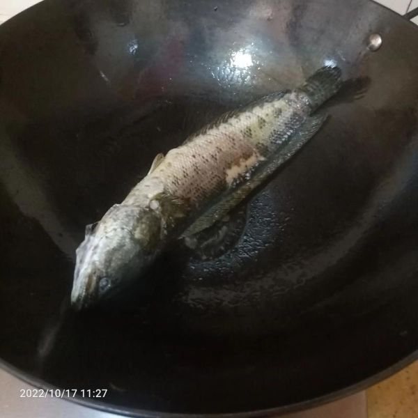 财鱼汤怎么做_财鱼汤对伤口愈合真的有用吗-第3张图片-山城妙识