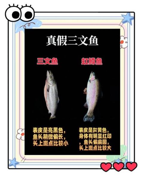 三文鱼正身图片怎么看_如何辨别新鲜度-第1张图片-山城妙识