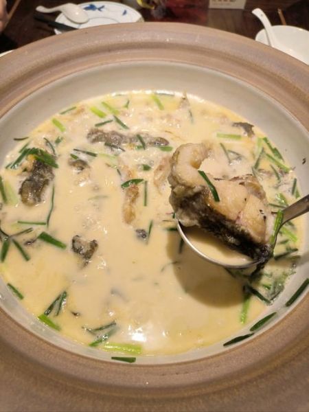 炖鮰鱼怎么做好吃_鮰鱼炖多久才入味-第3张图片-山城妙识 炖鮰鱼怎么做好吃_鮰鱼炖多久才入味-第3张图片-山城妙识