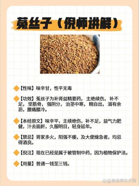 菟丝子怎么吃_菟丝子泡水喝的正确方法-第3张图片-山城妙识 菟丝子怎么吃_菟丝子泡水喝的正确方法-第3张图片-山城妙识