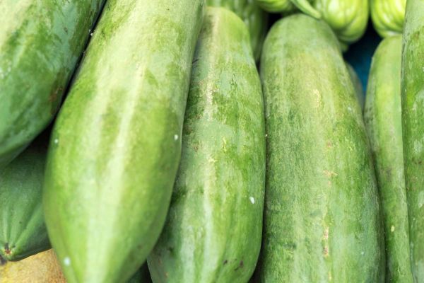西胡瓜图片_西胡瓜和黄瓜的区别-第1张图片-山城妙识