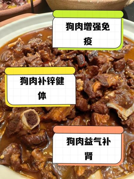狗肉煲的做法_狗肉煲用什么配料-第2张图片-山城妙识 狗肉煲的做法_狗肉煲用什么配料-第2张图片-山城妙识
