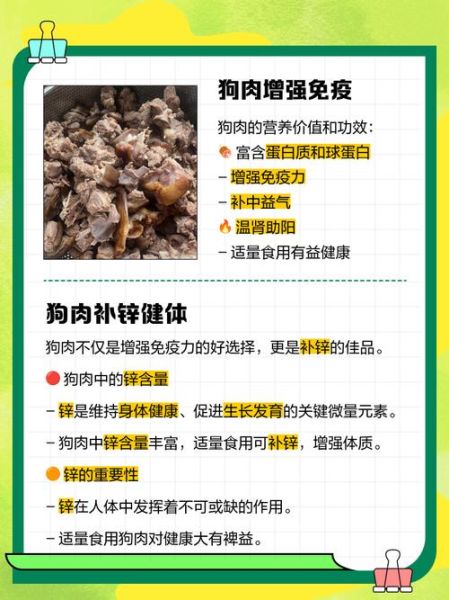 狗肉煲的做法_狗肉煲用什么配料-第3张图片-山城妙识 狗肉煲的做法_狗肉煲用什么配料-第3张图片-山城妙识