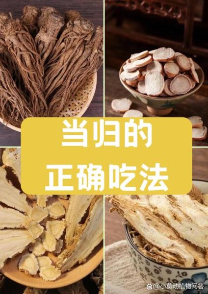 血当归的功效与作用_血当归怎么吃好-第1张图片-山城妙识 血当归的功效与作用_血当归怎么吃好-第1张图片-山城妙识