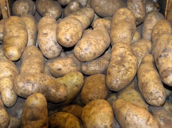 土豆视频下载安装免费下载_如何安全获取官方正版-第3张图片-山城妙识 土豆视频下载安装免费下载_如何安全获取官方正版-第3张图片-山城妙识