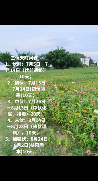 2021年哪天入伏哪天出伏_三伏天一共多少天-第2张图片-山城妙识 2021年哪天入伏哪天出伏_三伏天一共多少天-第2张图片-山城妙识