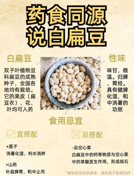 白扁豆的营养价值_白扁豆的功效与作用-第1张图片-山城妙识 白扁豆的营养价值_白扁豆的功效与作用-第1张图片-山城妙识