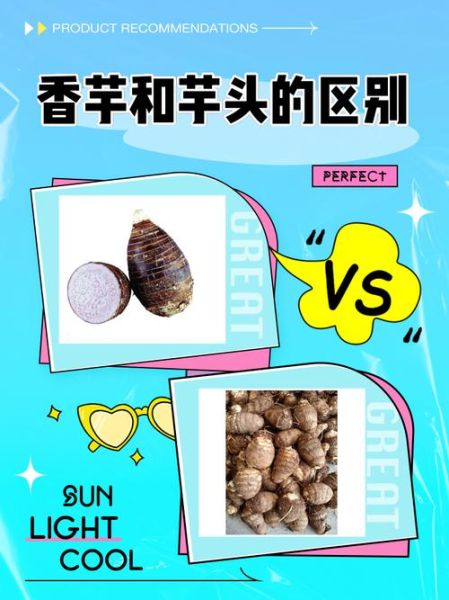 香芋和芋头营养区别_哪个更适合减肥-第2张图片-山城妙识 香芋和芋头营养区别_哪个更适合减肥-第2张图片-山城妙识