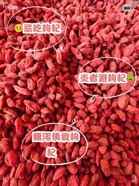 枸杞的功效与作用禁忌_哪些人不能吃枸杞-第2张图片-山城妙识 枸杞的功效与作用禁忌_哪些人不能吃枸杞-第2张图片-山城妙识