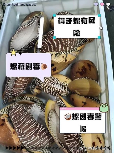 椰子螺怎么清洗_椰子螺做法视频教程-第1张图片-山城妙识 椰子螺怎么清洗_椰子螺做法视频教程-第1张图片-山城妙识