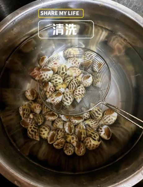 椰子螺怎么清洗_椰子螺做法视频教程-第2张图片-山城妙识 椰子螺怎么清洗_椰子螺做法视频教程-第2张图片-山城妙识