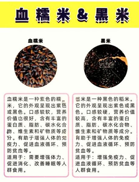 紫米和黑米哪个更补血_紫米怎么煮才软糯-第1张图片-山城妙识