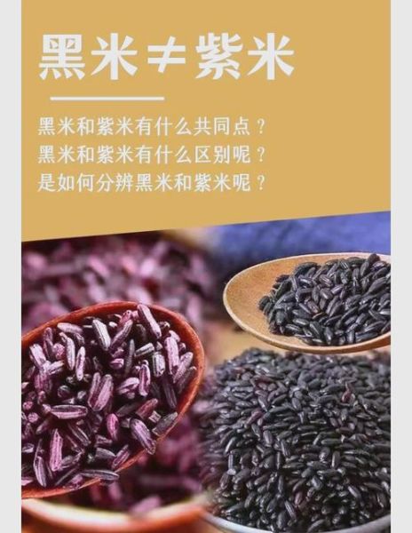 紫米和黑米哪个更补血_紫米怎么煮才软糯-第2张图片-山城妙识