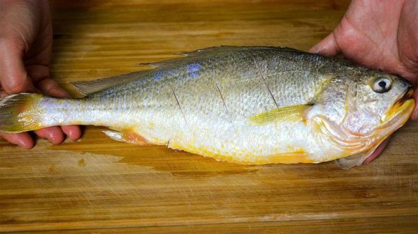 黄鱼视频怎么保存到手机_黄鱼视频下载失败怎么办-第1张图片-山城妙识 黄鱼视频怎么保存到手机_黄鱼视频下载失败怎么办-第1张图片-山城妙识