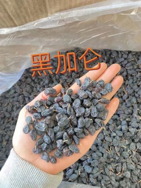 黑加仑的功效与作用_黑加仑能天天吃吗-第3张图片-山城妙识