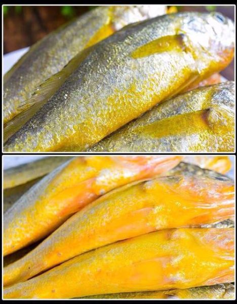 黄鱼视频怎么保存到手机_黄鱼视频下载失败怎么办-第2张图片-山城妙识 黄鱼视频怎么保存到手机_黄鱼视频下载失败怎么办-第2张图片-山城妙识