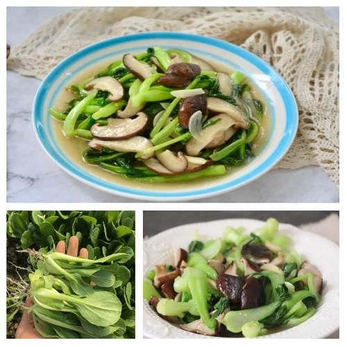 香菇青菜的营养价值_香菇青菜吃了有什么好处-第1张图片-山城妙识 香菇青菜的营养价值_香菇青菜吃了有什么好处-第1张图片-山城妙识