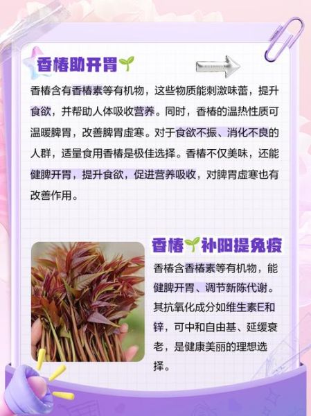 什么人不能吃香椿芽_香椿芽禁忌人群-第3张图片-山城妙识 什么人不能吃香椿芽_香椿芽禁忌人群-第3张图片-山城妙识
