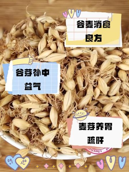 谷芽的功效与作用及食用方法_谷芽怎么吃效果最好-第3张图片-山城妙识 谷芽的功效与作用及食用方法_谷芽怎么吃效果最好-第3张图片-山城妙识
