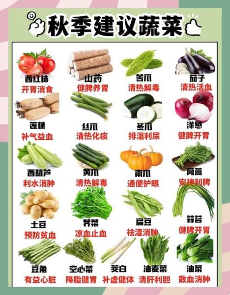 秋天吃什么蔬菜好_秋季养生菜谱推荐-第1张图片-山城妙识 秋天吃什么蔬菜好_秋季养生菜谱推荐-第1张图片-山城妙识