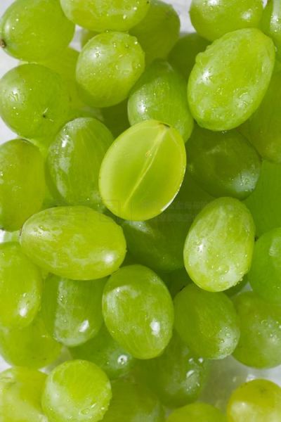 青提子多少钱一斤_青提子价格受哪些因素影响-第3张图片-山城妙识 青提子多少钱一斤_青提子价格受哪些因素影响-第3张图片-山城妙识