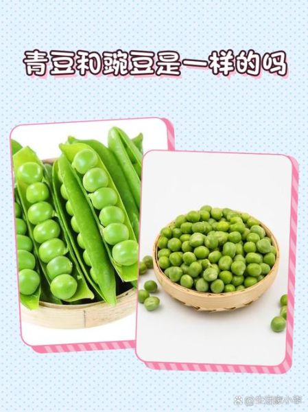 青豌豆的功效与作用禁忌_青豌豆什么人不能吃-第3张图片-山城妙识 青豌豆的功效与作用禁忌_青豌豆什么人不能吃-第3张图片-山城妙识