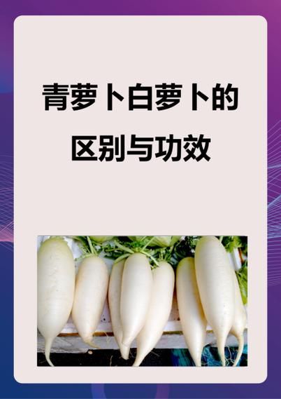 熟白萝卜的功效与作用_怎么吃最养人-第3张图片-山城妙识 熟白萝卜的功效与作用_怎么吃最养人-第3张图片-山城妙识