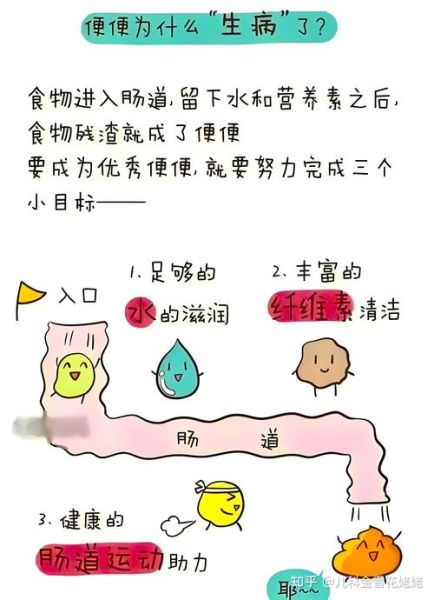 便秘最快通便的土方法_便秘吃什么立刻见效-第1张图片-山城妙识 便秘最快通便的土方法_便秘吃什么立刻见效-第1张图片-山城妙识