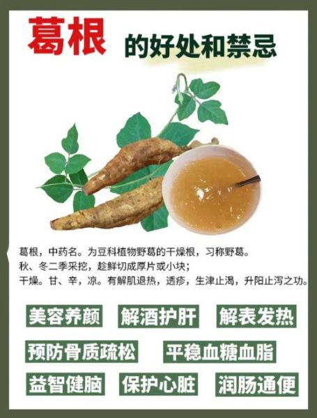黄葛粉的功效与作用_黄葛粉怎么吃效果最好-第1张图片-山城妙识 黄葛粉的功效与作用_黄葛粉怎么吃效果最好-第1张图片-山城妙识