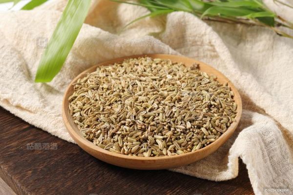 小茴香图片_香料小茴香长什么样-第2张图片-山城妙识 小茴香图片_香料小茴香长什么样-第2张图片-山城妙识