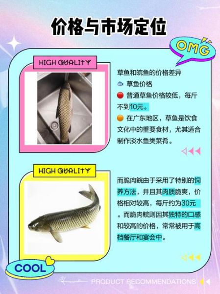 鲩鱼和草鱼一样吗_鲩鱼是不是草鱼-第2张图片-山城妙识 鲩鱼和草鱼一样吗_鲩鱼是不是草鱼-第2张图片-山城妙识