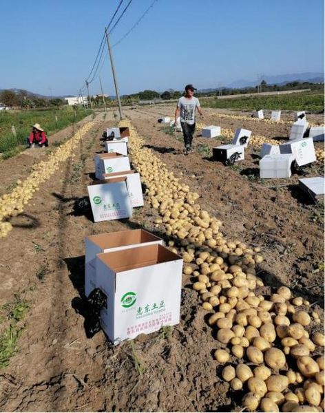 马铃薯之乡在哪里_马铃薯之乡旅游攻略-第1张图片-山城妙识 马铃薯之乡在哪里_马铃薯之乡旅游攻略-第1张图片-山城妙识