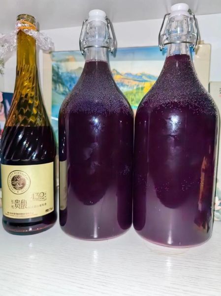 葡萄酒自酿方法_自酿葡萄酒需要哪些材料-第3张图片-山城妙识 葡萄酒自酿方法_自酿葡萄酒需要哪些材料-第3张图片-山城妙识