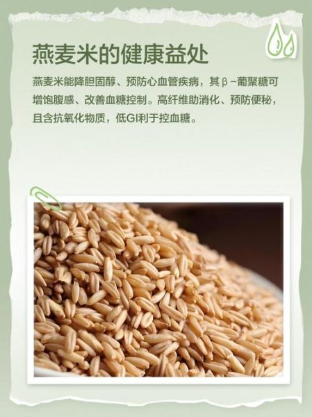 燕麦米的功效与作用及食用方法_燕麦米有哪些禁忌-第2张图片-山城妙识