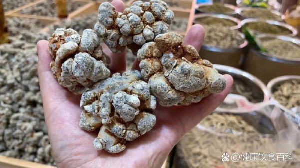 田七图片大全大图_田七长什么样-第3张图片-山城妙识 田七图片大全大图_田七长什么样-第3张图片-山城妙识