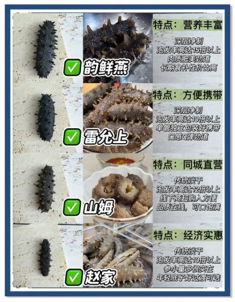 干海参价格多少钱一斤_干海参怎么挑选-第2张图片-山城妙识 干海参价格多少钱一斤_干海参怎么挑选-第2张图片-山城妙识