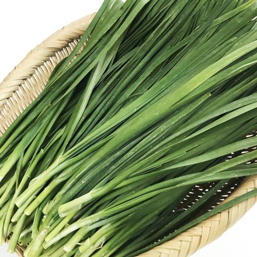 韭菜图片大全大图_韭菜高清图鉴-第3张图片-山城妙识 韭菜图片大全大图_韭菜高清图鉴-第3张图片-山城妙识