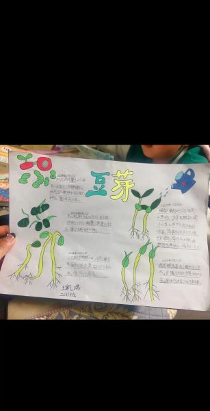 怎么生黄豆芽最简单的方法_黄豆芽发芽步骤-第3张图片-山城妙识