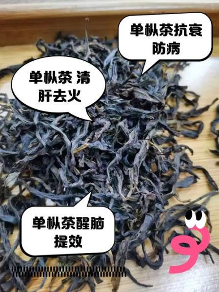 单枞茶的功效与作用_单枞茶适合什么人喝-第1张图片-山城妙识 单枞茶的功效与作用_单枞茶适合什么人喝-第1张图片-山城妙识