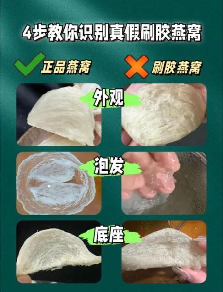 真正燕窝是怎么形成的_燕窝真假辨别方法-第1张图片-山城妙识 真正燕窝是怎么形成的_燕窝真假辨别方法-第1张图片-山城妙识