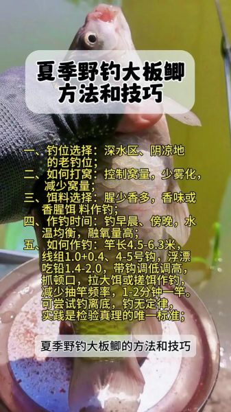 钓鱼新手如何选钓点_野钓鲫鱼技巧大全-第1张图片-山城妙识 钓鱼新手如何选钓点_野钓鲫鱼技巧大全-第1张图片-山城妙识