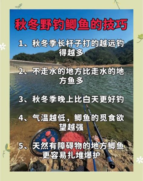 钓鱼新手如何选钓点_野钓鲫鱼技巧大全-第2张图片-山城妙识 钓鱼新手如何选钓点_野钓鲫鱼技巧大全-第2张图片-山城妙识